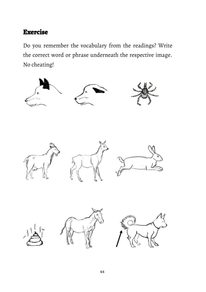 Ἄργος. Ancient Greek Dog Stories – Argos Didaskei: Ancient Language ...